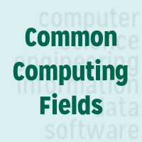 Undergraduate and Graduate Students Indicate the Computing Fields in ...